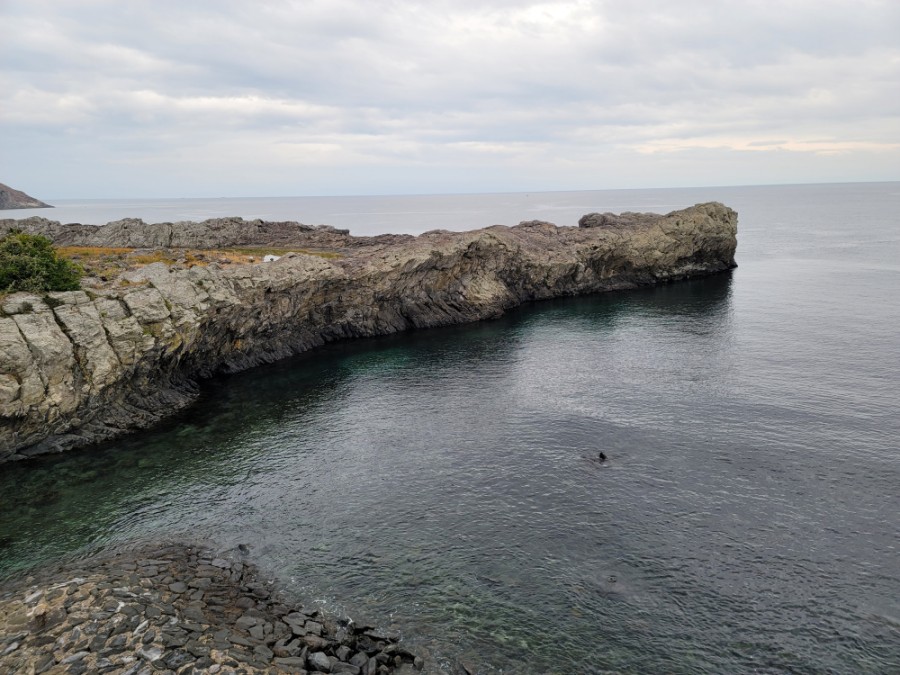 Must-Visit Places in Seogwipo, Jeju Island : Saeseom Island Saeyeongyo ...