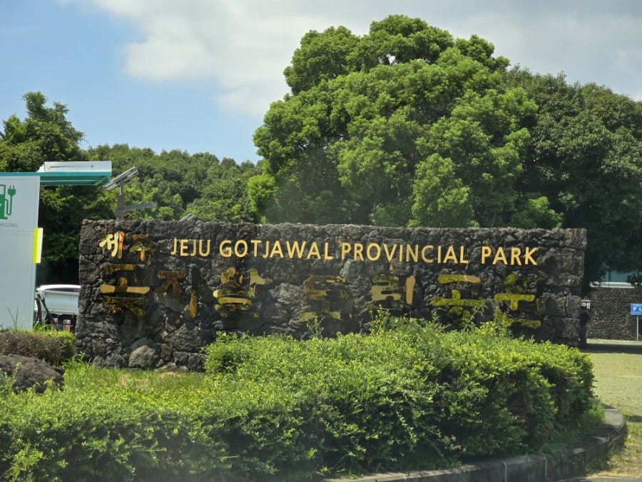 Discover the Unique Beauty of Gotjawal Provincial Park in Seogwipo ...
