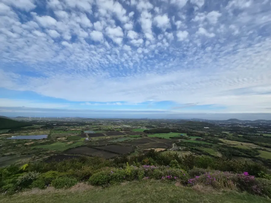 Darabi Oreum: Hike the Queen of Jeju’s Volcanic Hills
