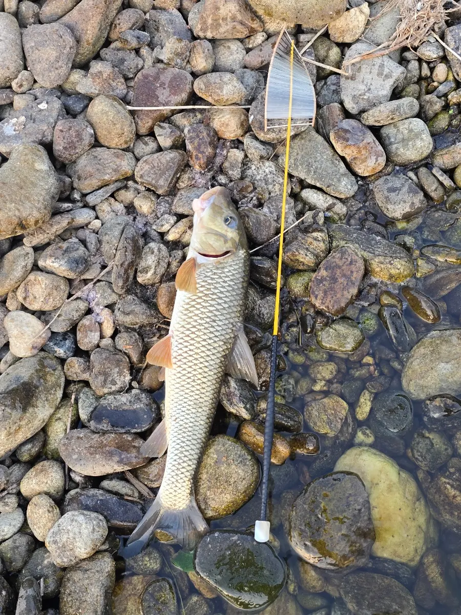 Gyeonji Fishing in Korea: Traditional River Fishing for a Mindful ...